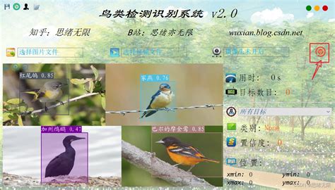 基于深度学习的鸟类检测识别系统（含ui界面，python代码） 哔哩哔哩