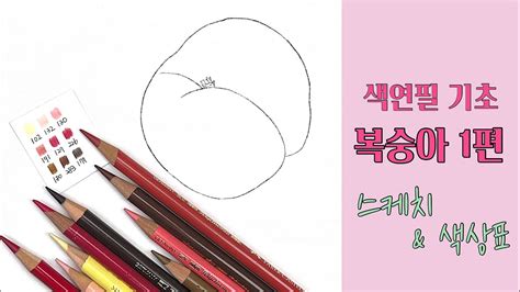 색연필기초복숭아 1편 스케치 And 색상표 보태니컬아트 기초 Botanical Art 구의 형태의 사물 쉽게 그리는 방법 Youtube