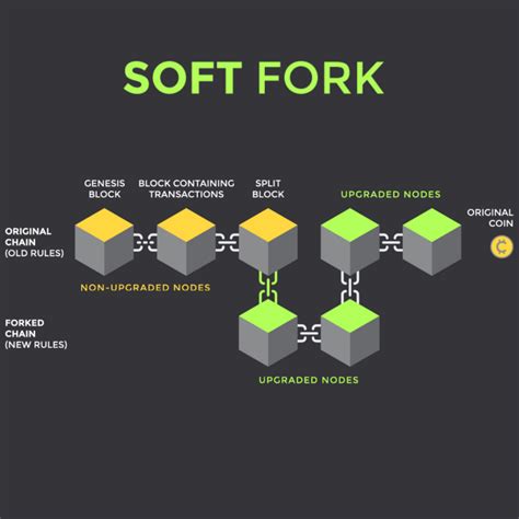 What Are Blockchain Forks Explained