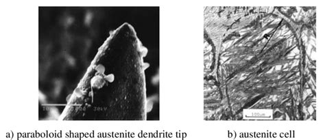 Interface Morphology At Decanted Solidliquid Interface In A Fe 308 Download Scientific