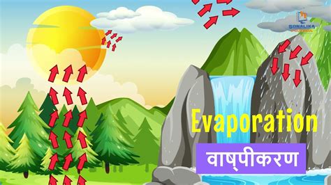 Simple Water Cycle In Hindi