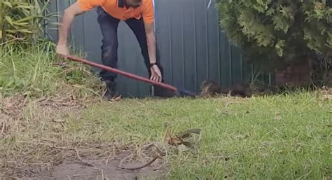 How Do Plumbers Detect Underground Leaks In Australia