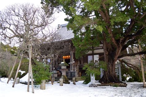 宝戒寺鎌倉の歴史が刻まれたはぎの寺 鎌倉トリップ 日帰りで初夏の鎌倉へ