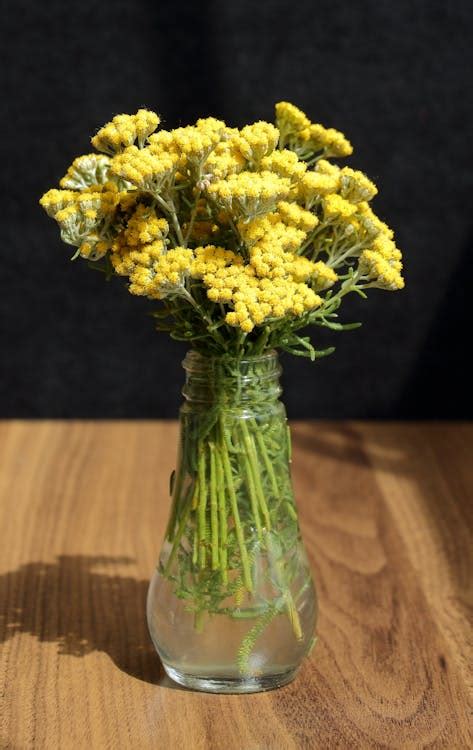 실내 꽃 꽃무늬 꽃병 나무 노란 꽃 노란색 녹색 줄기 단순한 동종요법 따뜻한 음색 러스틱 목조 미니멀리스트 밝은 배열 부케 식물 식물군