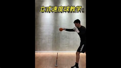 펀치볼 스피드볼 압착식 가정용 샌드백 볼직경 15cm 복싱 킥복싱 운동 T성인 Youtube