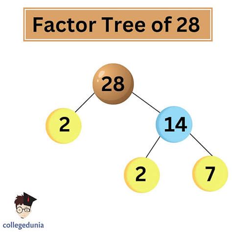 Factors Of 28 Division Prime Factorization And Pair Factors