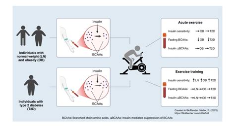 Ada Easd Consensus Update On Management Of Hyperglycaemia In Type 2 Diabetes Report Published