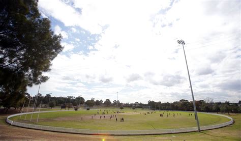 Oatley Park And Olds Park Playing Fields To Be Resurfaced To Enable