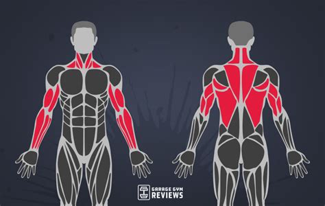 Weighted Pull Ups An Expert Shows You How Garage Gym Reviews
