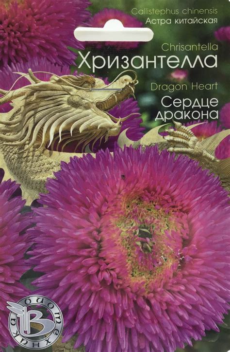 Биотехника Астра Хризантелла Сердце дракона - купить по выгодным ценам ...