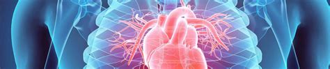 Heart Disease Uci Dataset Kaggle