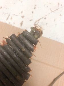 DIY Twig Tree Ornament The Shabby Tree