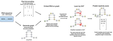 enabling prediction of rna structure from sequences by estimating