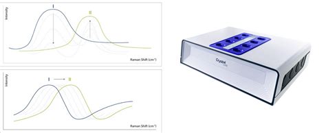 In Situ Crystallization Monitoring With Crystalline Rr And Raman Spectroscopy Technobis