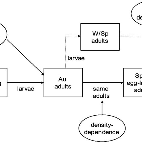 Comparison Of Impulsive And Continuous Harvesting For The Logistic Download Scientific Diagram