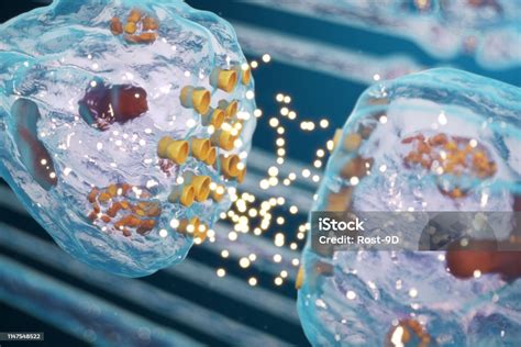시 냅 스 전송 인간의 신 경계 개념 의식 뇌 시 냅 스 전송 시 냅 스 신호 뇌의 전류 셀룰러 또는 원자 수준에서 정보 전송 3d 렌더링 세포소수포에 대한 스톡 사진 및