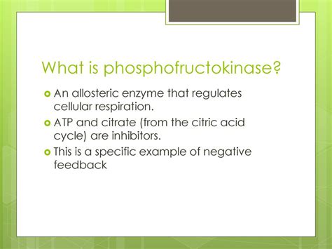 Cellular Respiration Summation By Questions Ppt Download