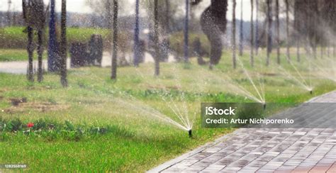 공원의 잔디밭에 물을 준 자동 스프링클러 시스템 원예 및 잔디 관리 개념 관개 장비에 대한 스톡 사진 및 기타 이미지 관개 장비 관개용 휠 녹색 Istock