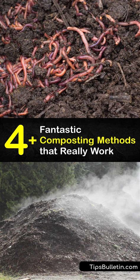 Smart Types Of Composting Compost Techniques For Everyone