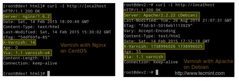 How To Install Varnish And Test Web Server Benchmarking