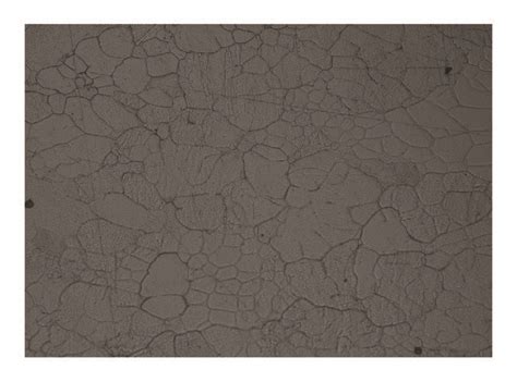 Solidification Simulation Of The Cross Section And Lengthwise Section Download Scientific