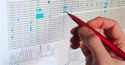 Whats Multiple Sequence Alignment In Bioinformatics
