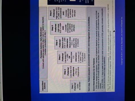 Lecture Flashcards Quizlet