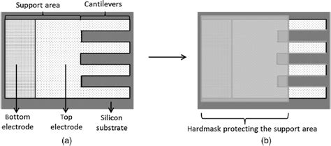 Microcantilever Array Top View Before A And After The Hard Mask Download Scientific Diagram