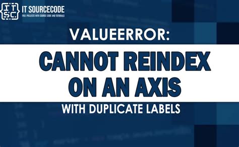 Valueerror Cannot Reindex On An Axis With Duplicate Labels Fixed