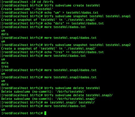 Introdução Ao Btrfs Omniatech