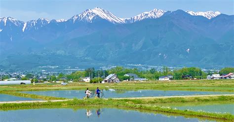公式 三股登山口行きの路線バス三股線を運行します 安曇野市観光協会