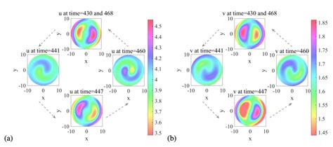 Bifurcation Predators Prey And Taxis Improbable Research