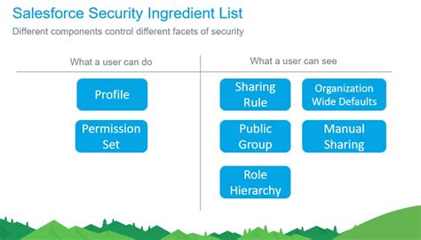 Salesforce Data Security Model And Sharing Danielle