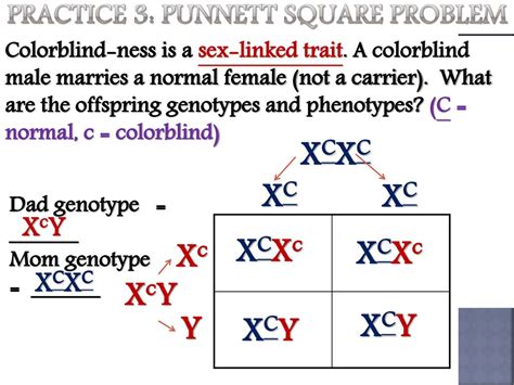 notes sex linked traits ppt download