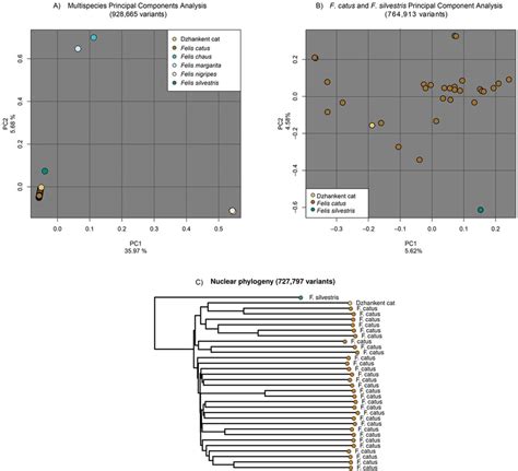 Principal Component Analysis Of Multi Species Genomic Data A And Download Scientific Diagram