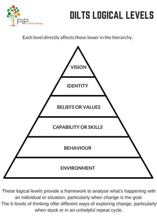 Dilts Logical Levels Adapted PDF