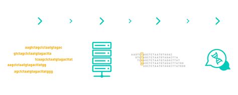 Snp Data Analysis Allgenetics