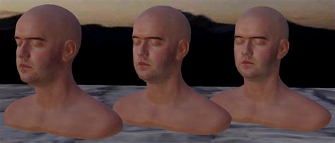 Simon S Tech Blog Pre Integrated Skin Shading