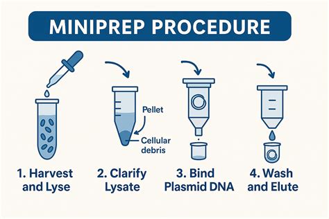 10 Miniprep Synbio Project Tutorials