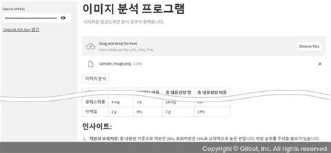 입문자를 위한 맞춤형 Ai 프로그램 만들기 111 열 가지 Ai 프로그램 한눈에 보기 이미지 분석 프로그램