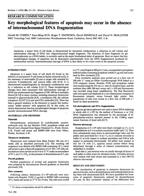 Pdf Morphological Features Of Apoptosis May Occur In The Absence Of