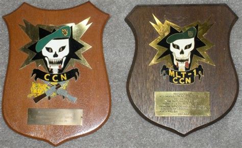 Macv Sog Ccn Plaques 12 Battlefield Museum