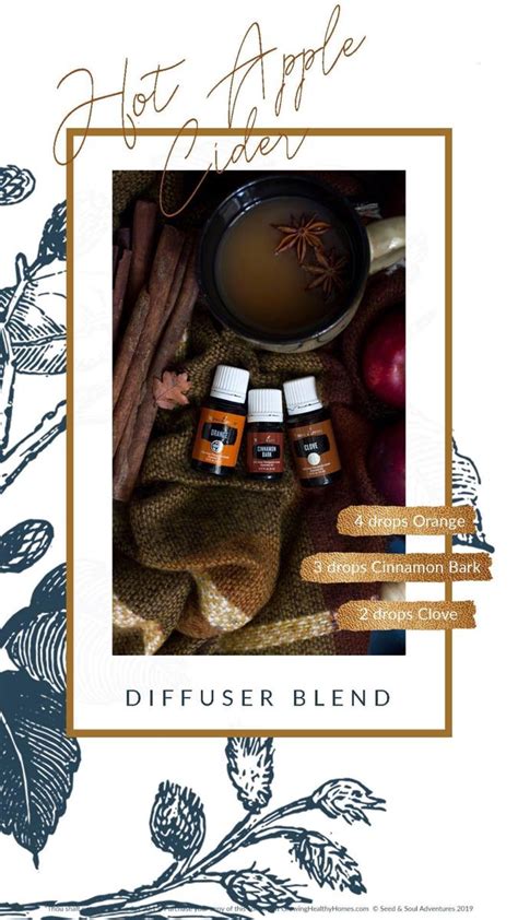 Hot Apple Cider Diffuser Blends Yl Essential Oils Hot Apple Cider