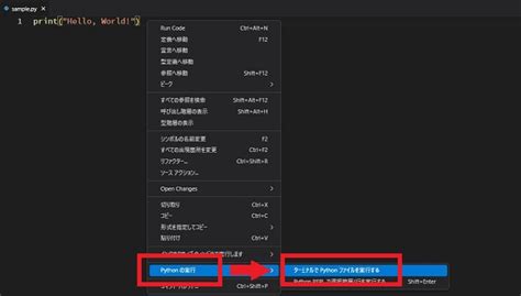 VSCodeでPythonを実行する方法実行できなときの対処法も解説PROG LIFE