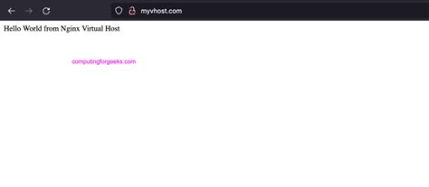How To Install Nginx Web Server On Ubuntu 2404 Computingforgeeks