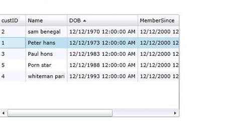 Silverlight Tutorials Datagrid In Silverlight Example Vbnet