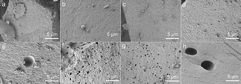 Figure 5 From Synthesis Of Solketal From Glycerol Catalyzed By Spherical γ Al 2 O 3 Supported
