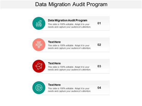 Data Migration Audit Program Ppt Powerpoint Presentation Ideas Slides