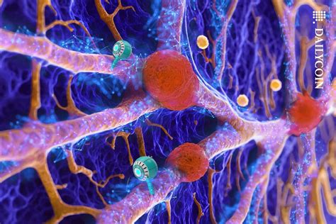 Why Are Solana Transactions Failing Devs Scramble To Fix It Dailycoin