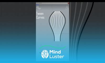 Rhino Tween Curves For Beginners Tutorial Mind Luster